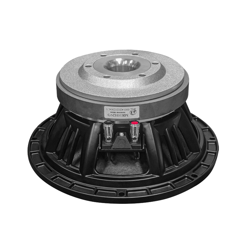 MR10H29D 10 inch speaker Factory China